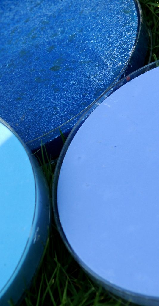 PERSONALIZED COLORS - Artalis enduits mortex